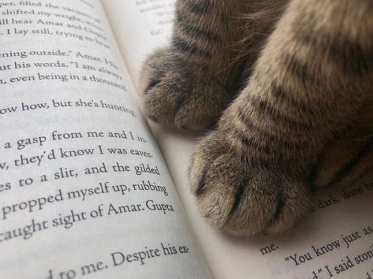 Best bookmark EVER! - free-ebooks.net - Blog